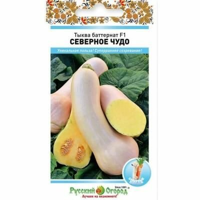 Семена Тыква Баттернат Северное чудо - ореховый вкус ( 5 семечек ) Русский Огород.