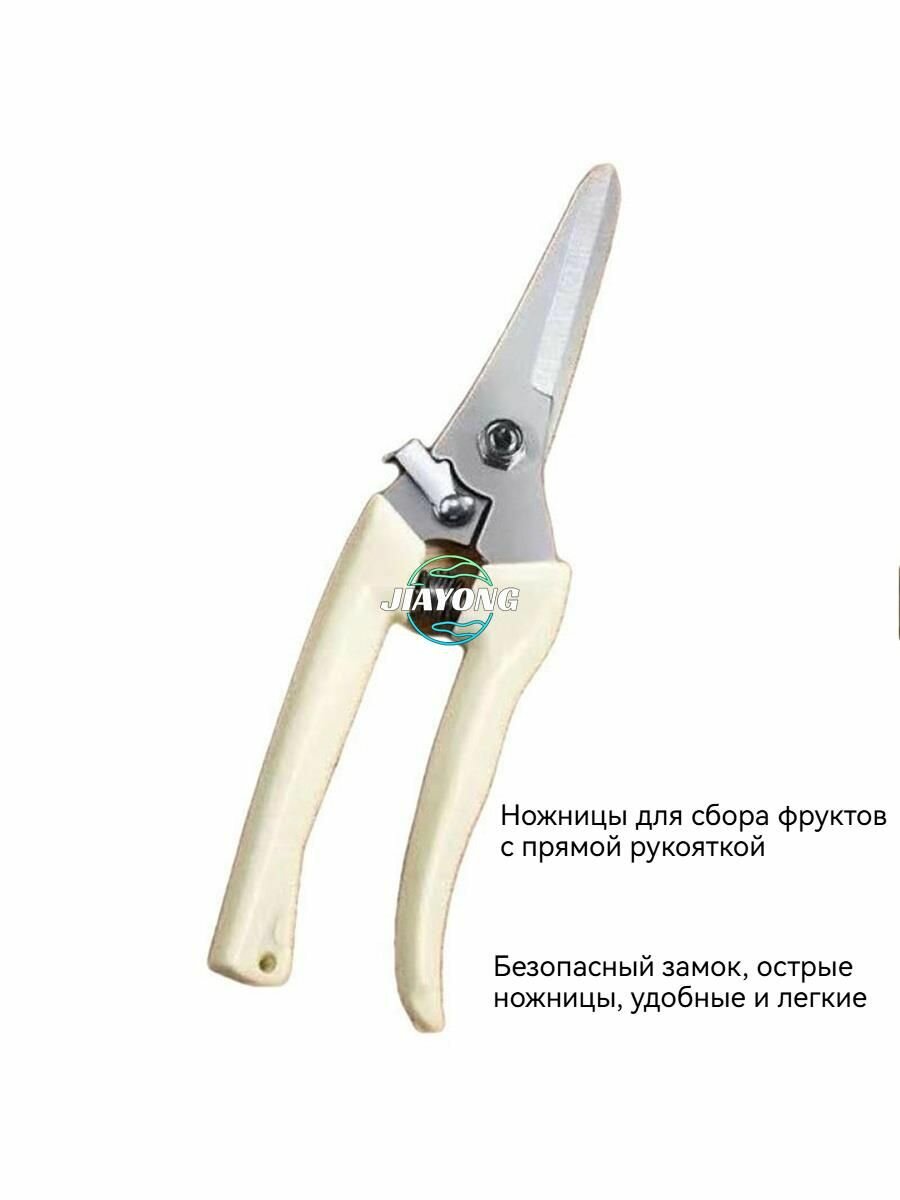 Секатор садовый из нержавеющей стали мощный для обрезки веток и сбора фруктов