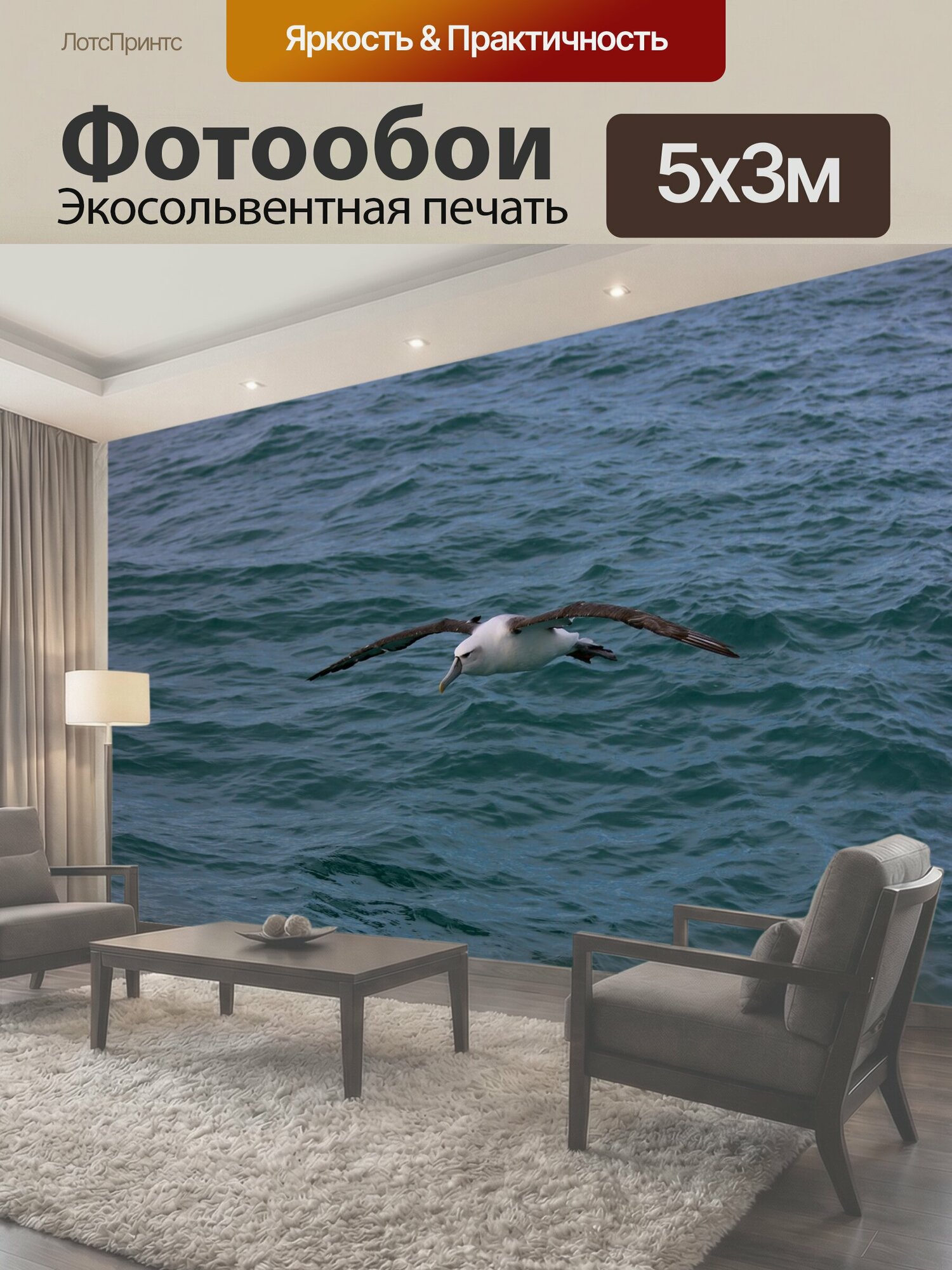 Фотообои "Королевский альбатрос новой зеландии, море, птица" 500x300 см. экосольвентная печать