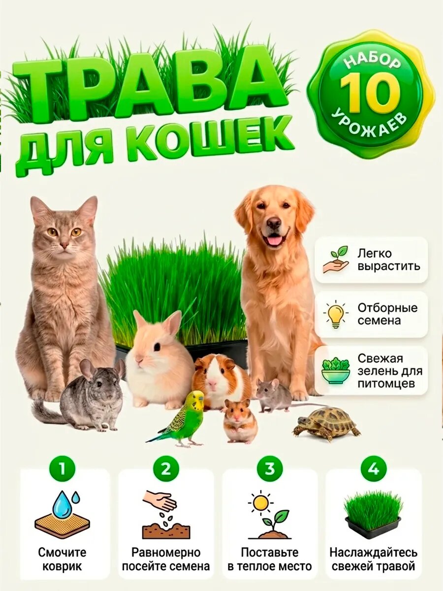 Трава для кошек в лотке