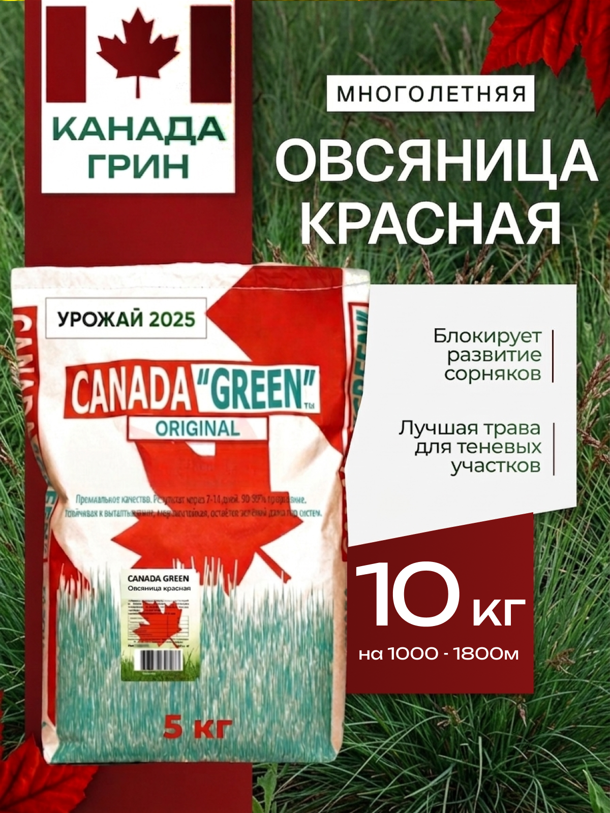 Овсяница красная семена 10кг