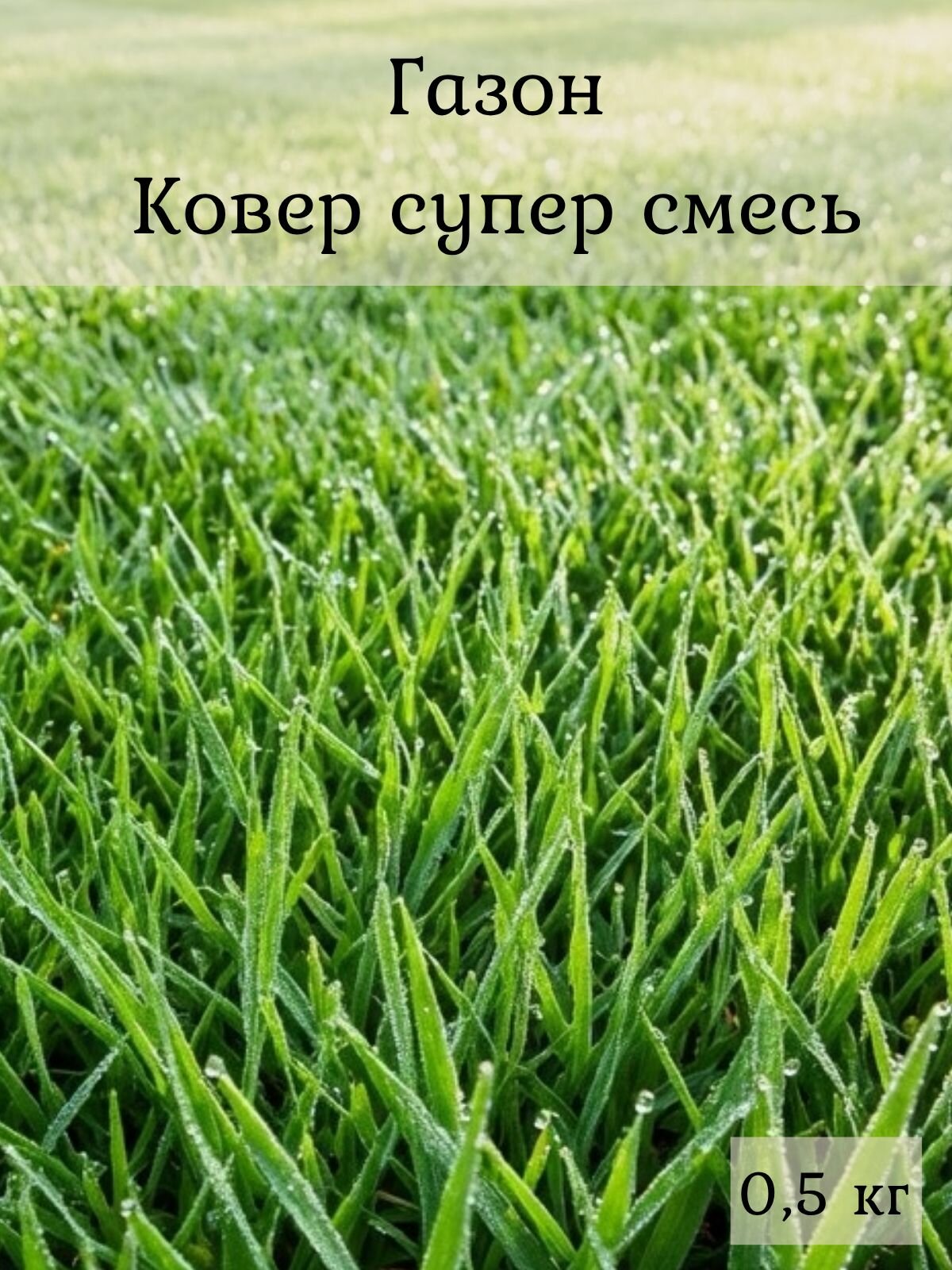 Газон Ковер супер смесь, семена 0,5 кг семена газона смесь для газона ковровая трава