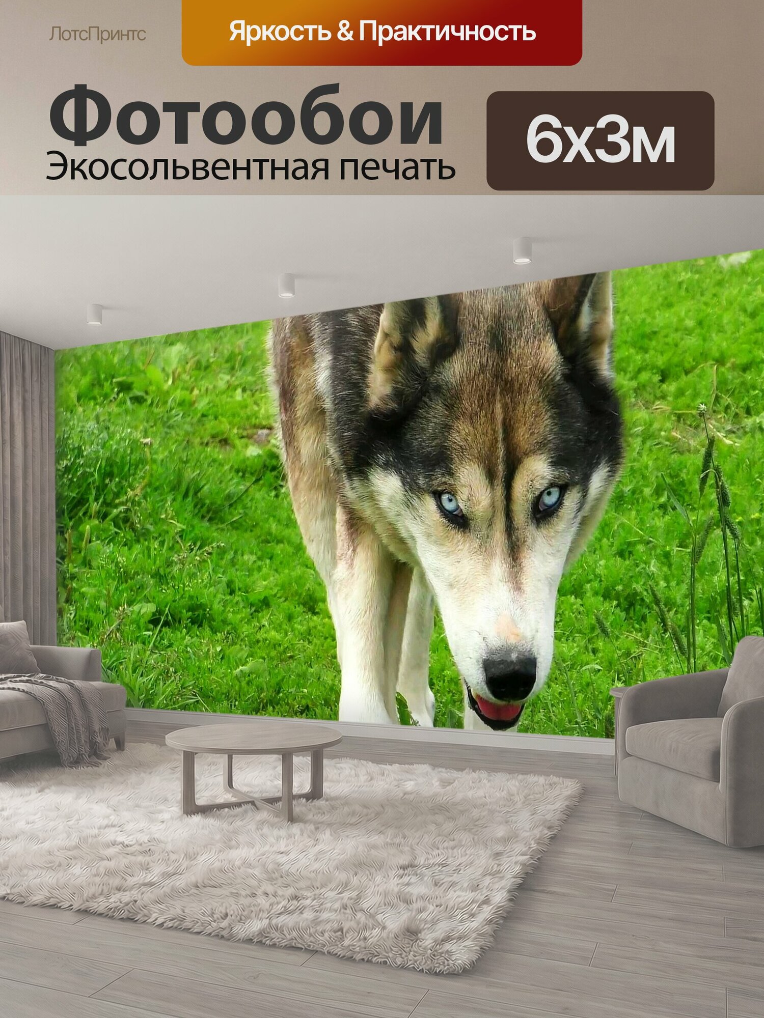 Фотообои "Хаски, волк, собака" 600x300 см. экосольвентная печать