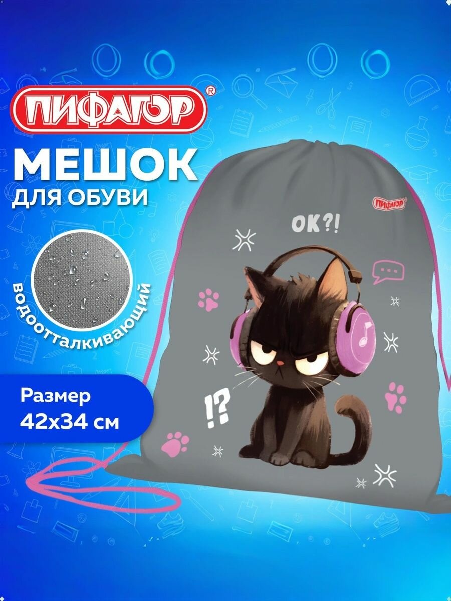 Пифагор Мешок для обуви, 1 отделение, 42х34 см, "Меломан"
