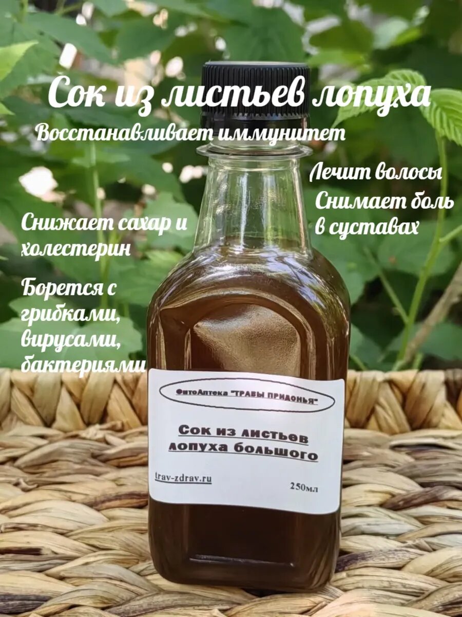 Сок из листьев лопуха большого