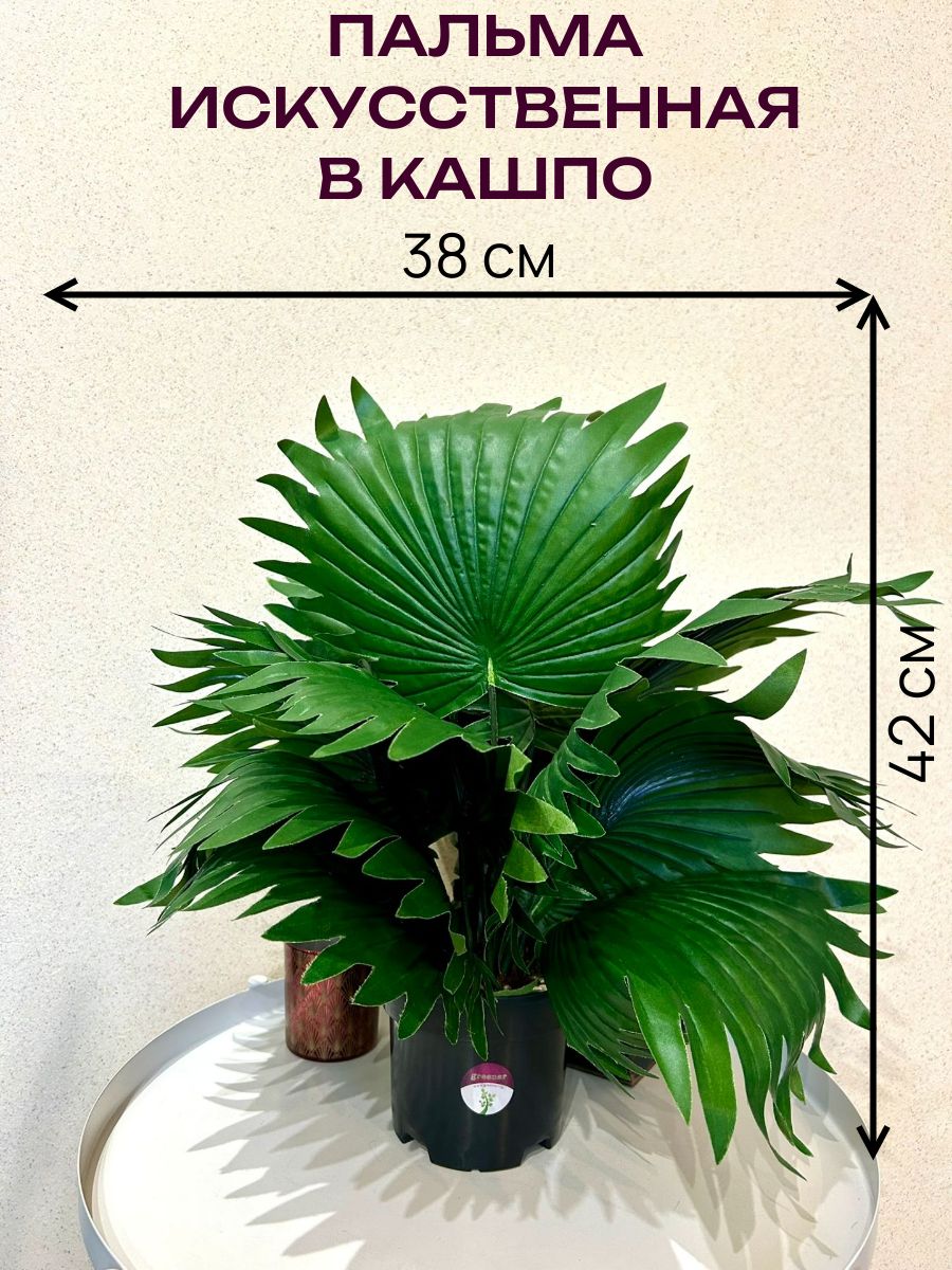 Искусственная пальма Вашингтония 42 см в кашпо