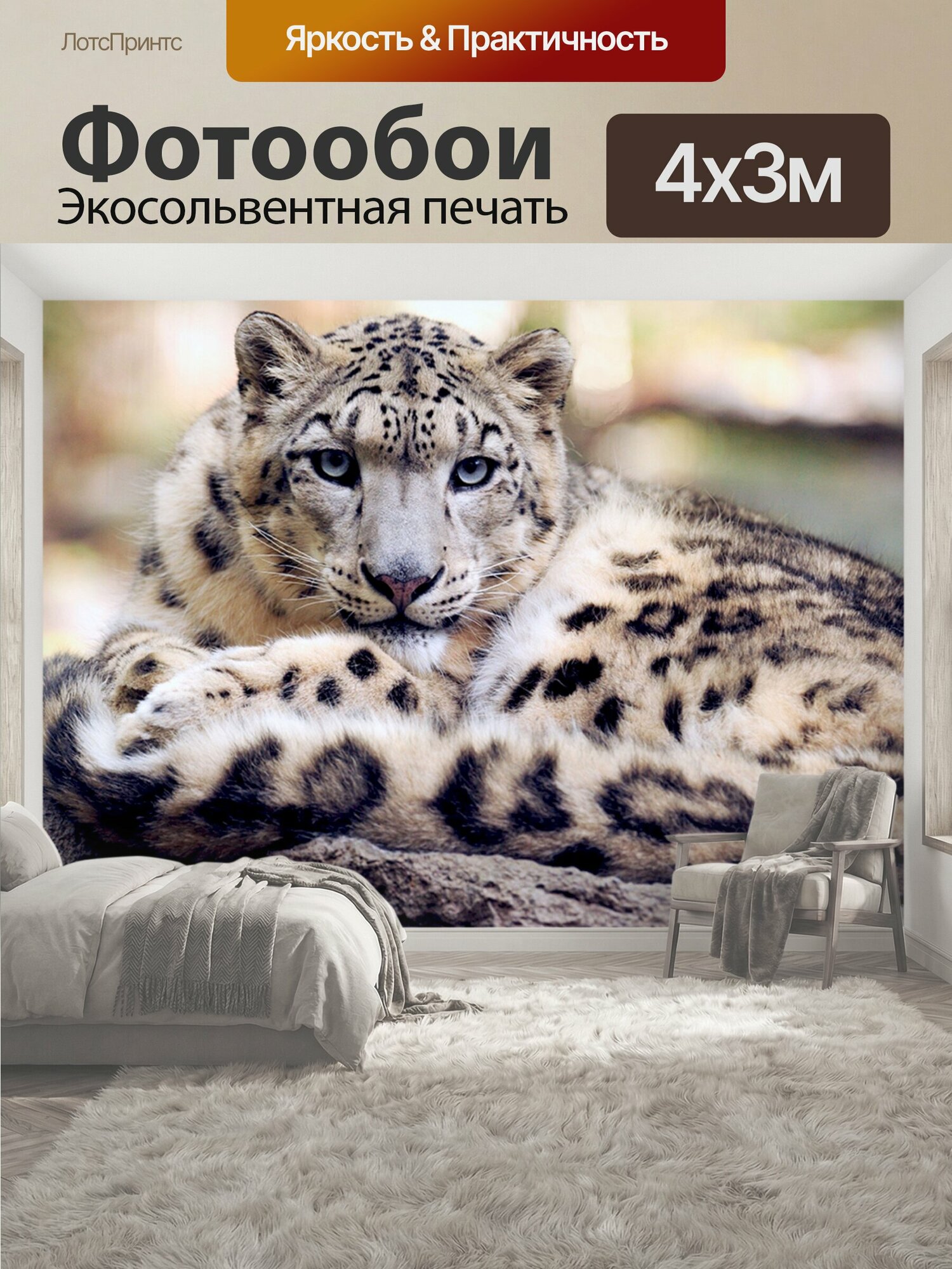 Фотообои "Снежный барс Снежный барс возлежа и позирует для портрета снежный барс полулежа глядишь общественное достояние фон обои глядя." 400x300 см. экосольвентная печать