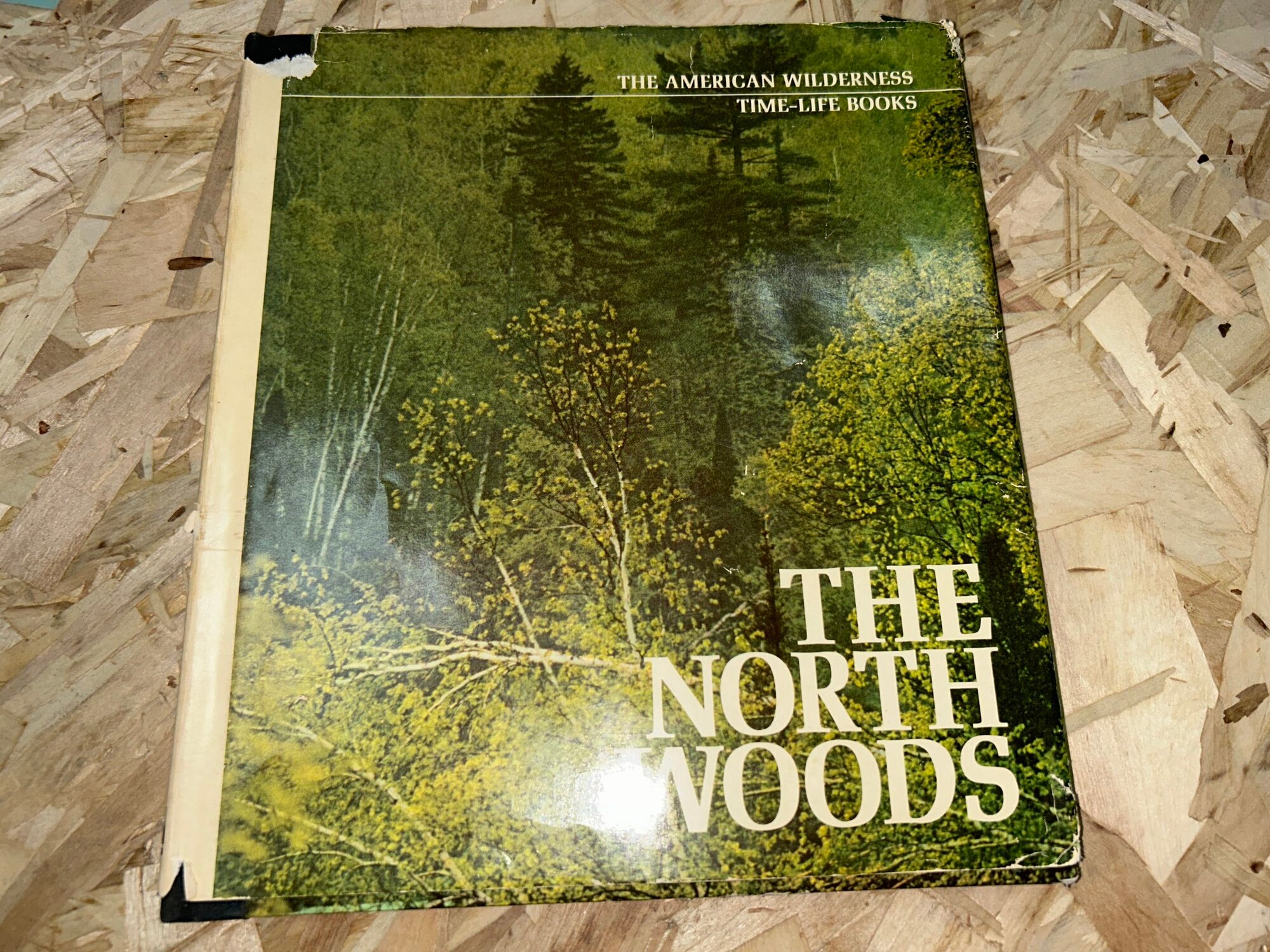 The North Woods