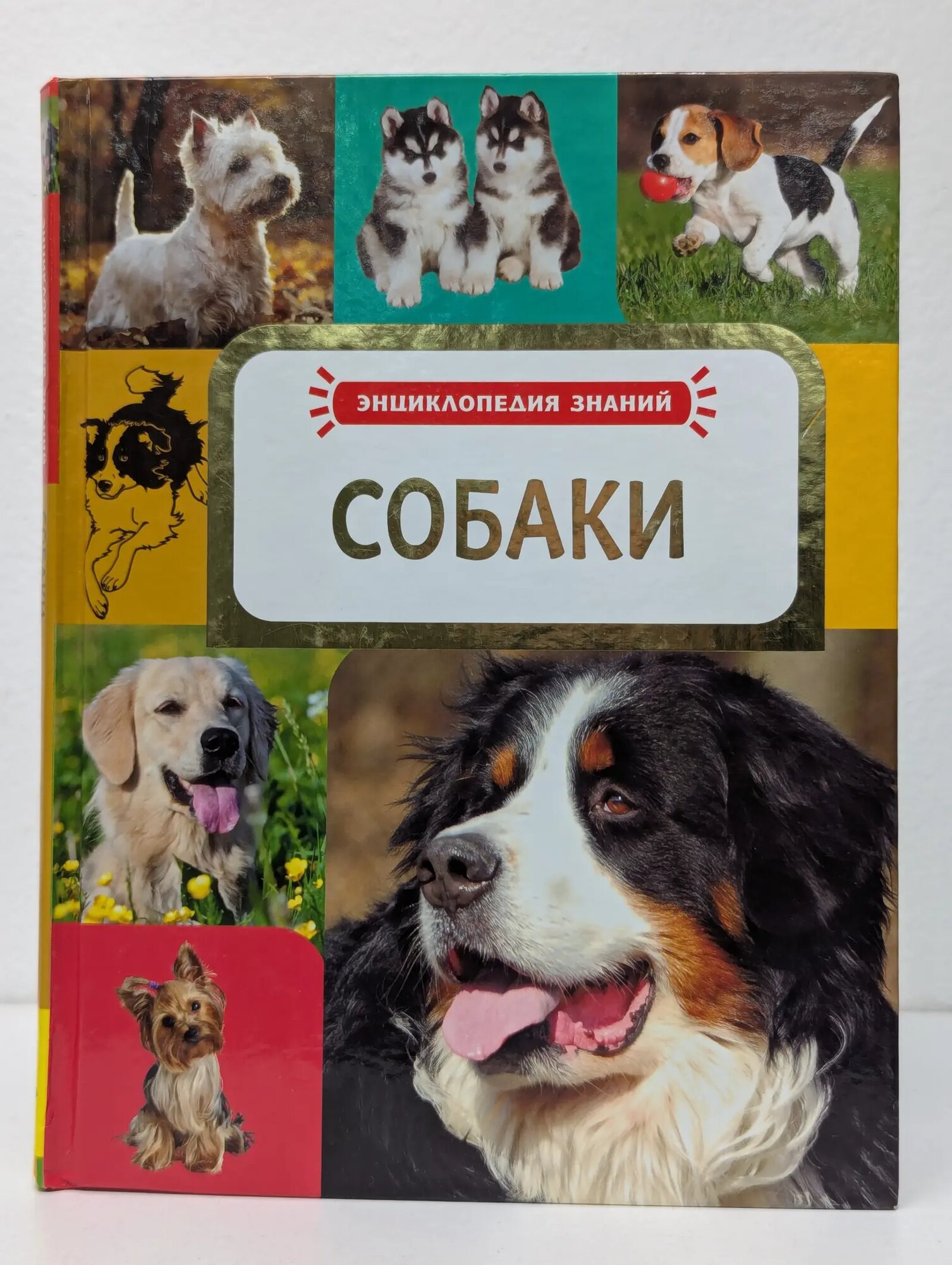 Энциклопедия знаний. Собаки Травина Ирина Владимировна 2013