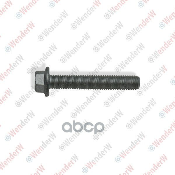 Болт (M10х70) AUDI Q7, VW TOUAREG, TRANSPORTER WenderW арт. WEL338