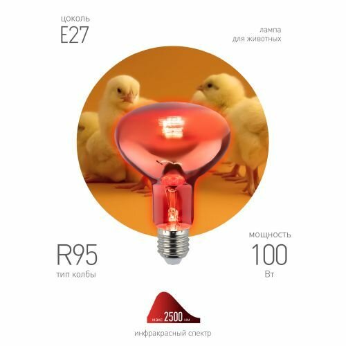 Лампа-термоизлучатель икзк 230-100Вт R95 (30) кэлз 8105043