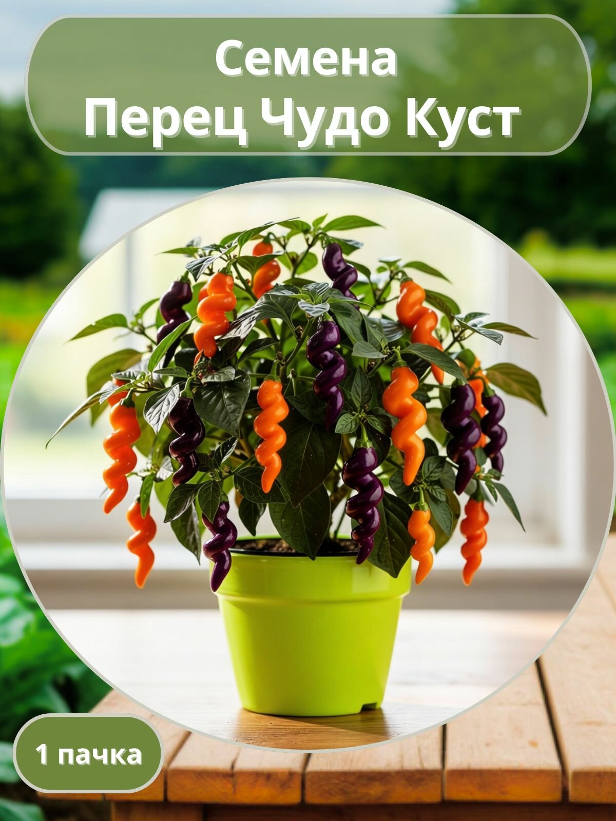 Перец острый Чудо Куст, семена 10 шт горький перец для посадки