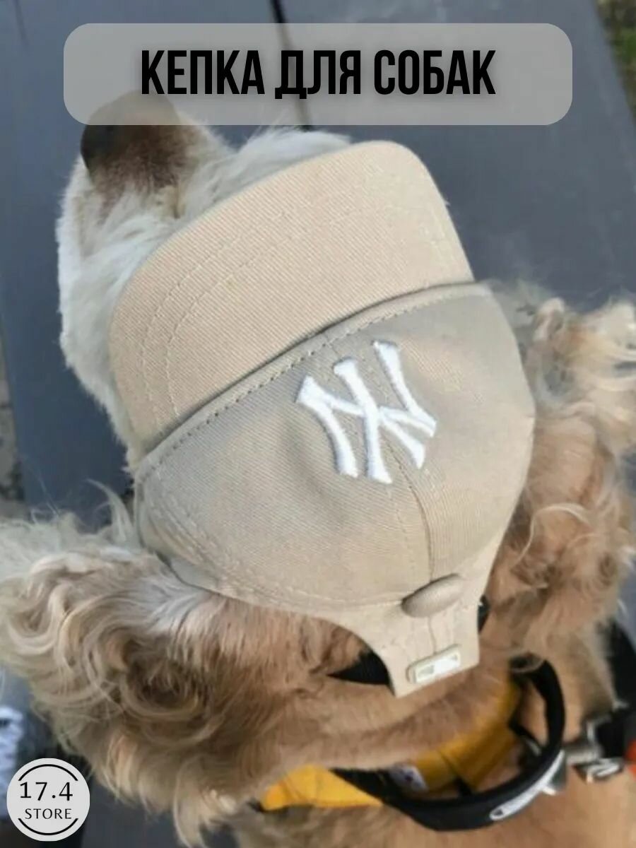 Кепка для собак и кошек LA(MLB)