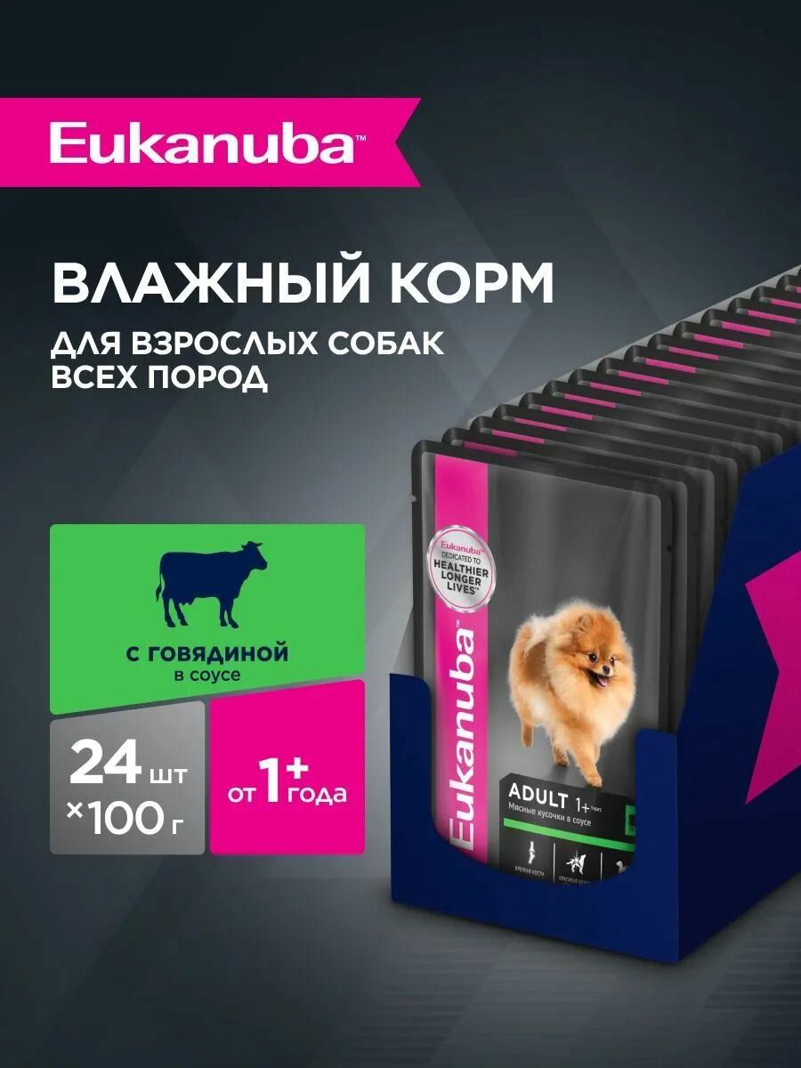 Влажный корм для собак Eukanuba Adult All Breed кусочки в соусе со вкусом говядины, 24 шт по 100 г