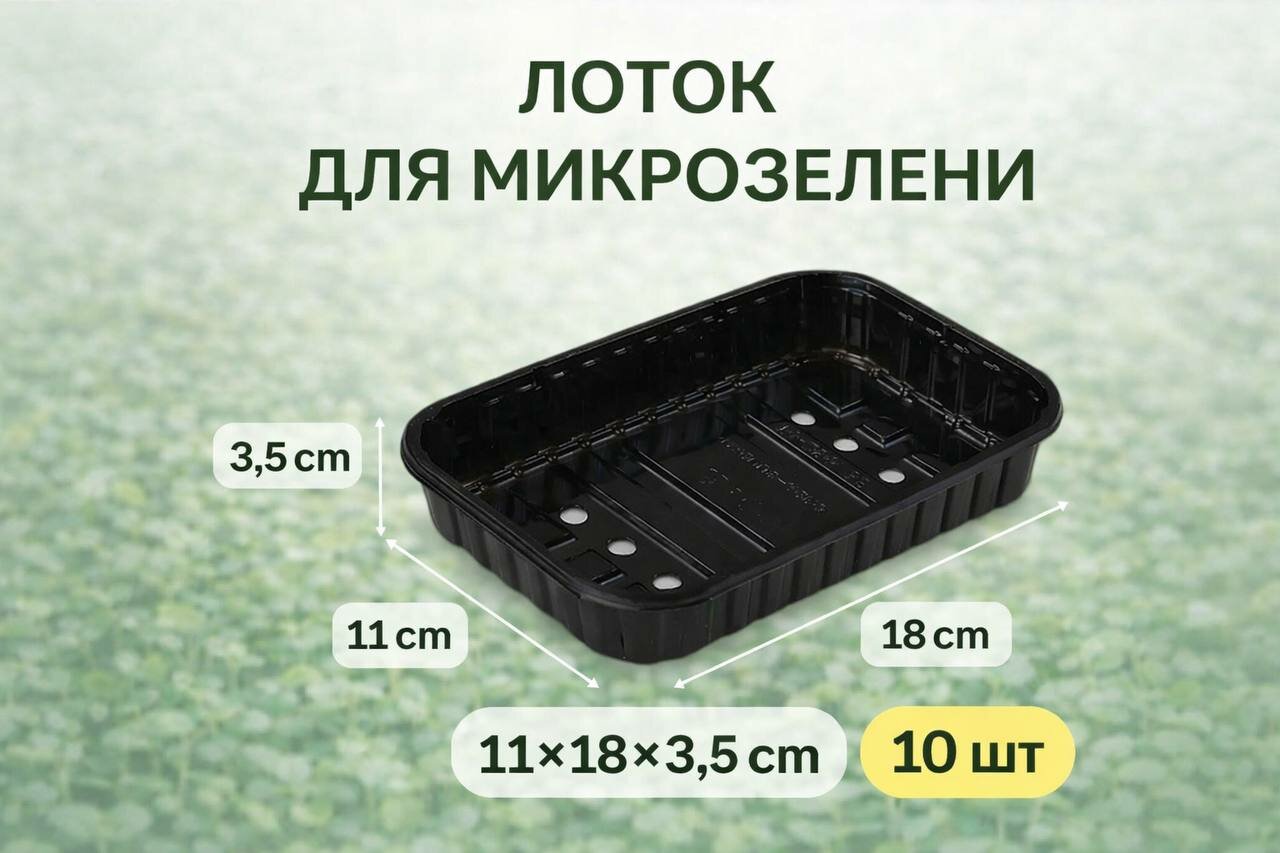 Лоток для микрозелен, пластик, чёрный, 18 см x 11 см x 3,5 см, 10 штук