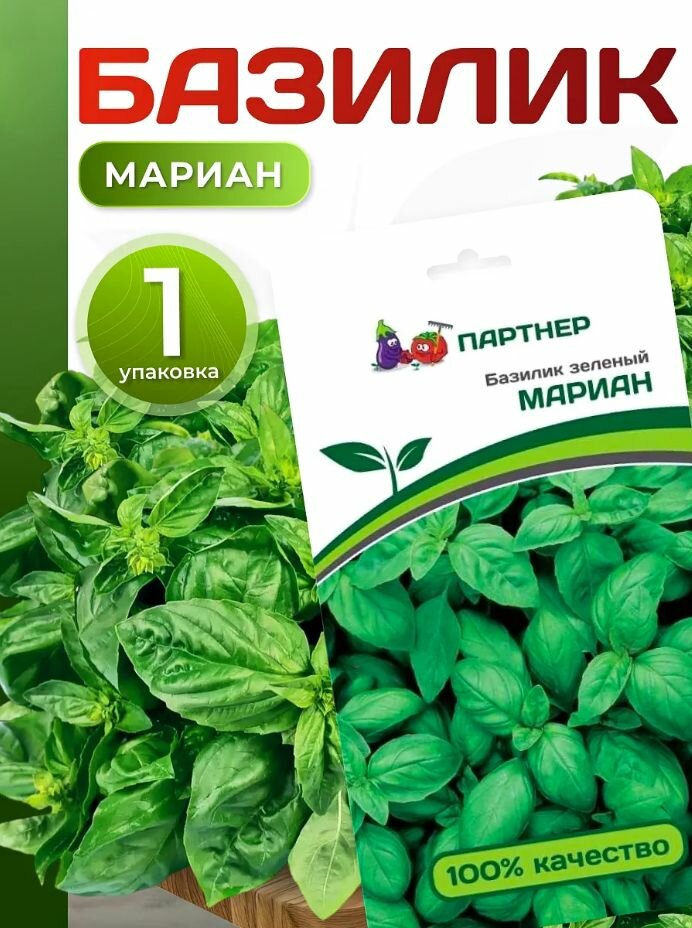 Семена базилика Мариан
