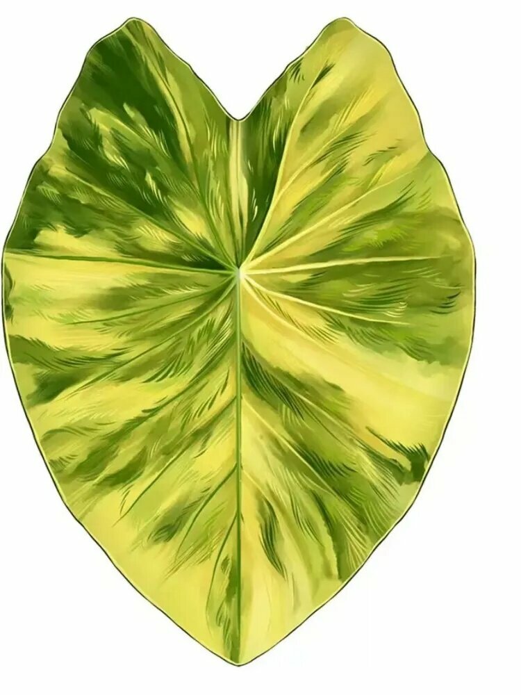 Магия Растений: Редкие тропические растения, креативные магниты на холодильник, декор для дома, серия растительных магнитов