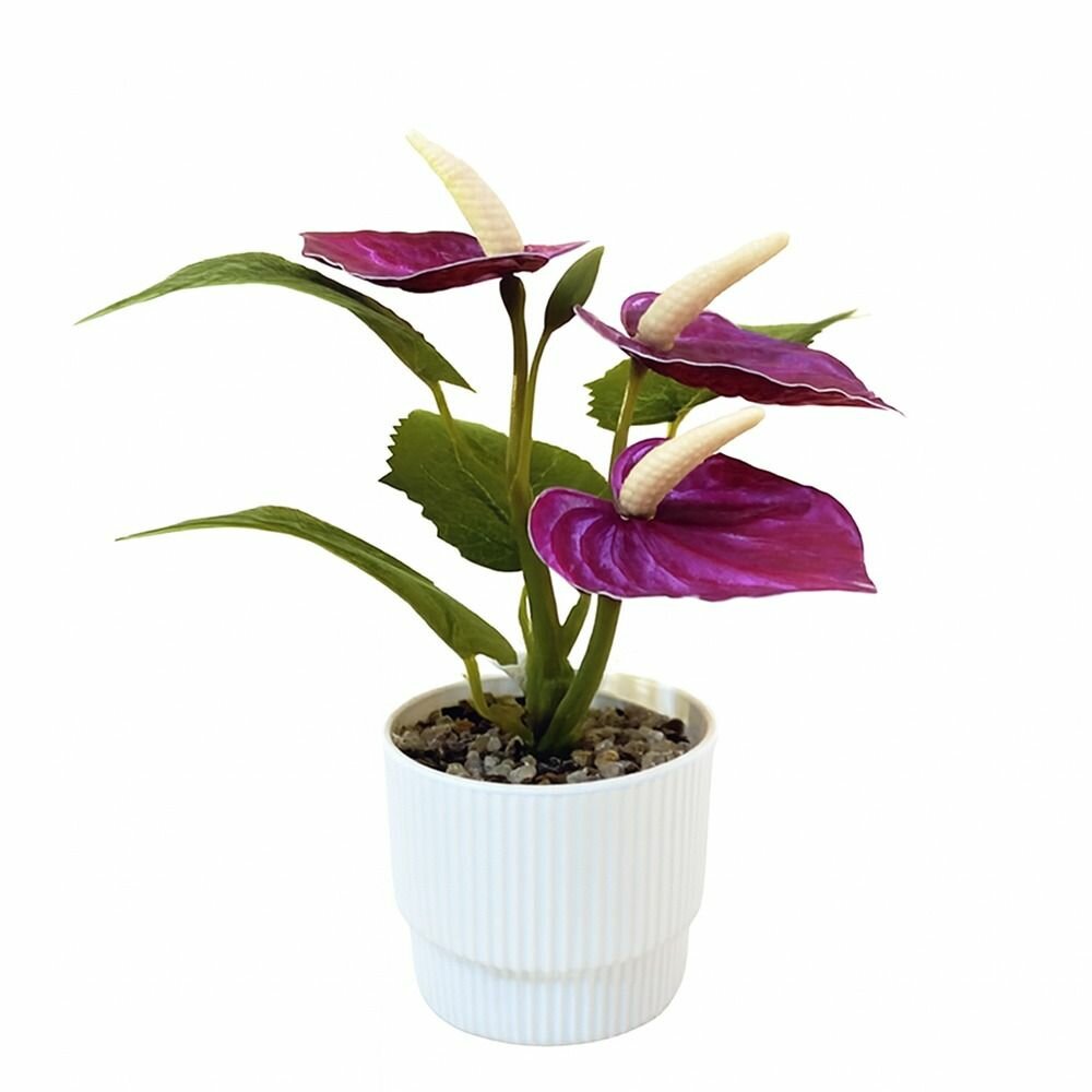 Искусственный антуриум бонсай