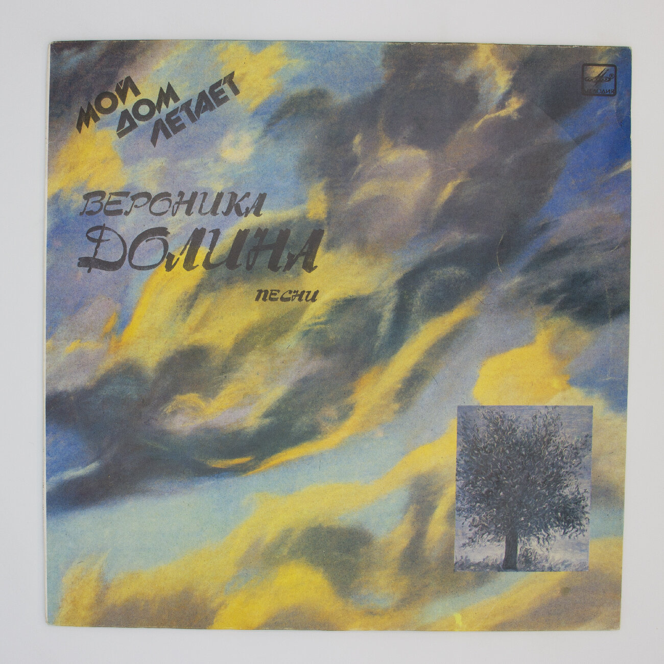 Виниловая пластинка Вероника Долина - Мой Дом Летает, 1xLP, VG