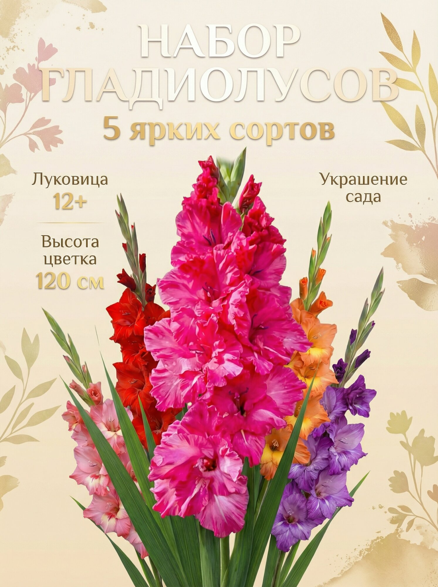 Гладиолусы микс, 5 луковиц, высота до 150 см, многолетние, для улицы