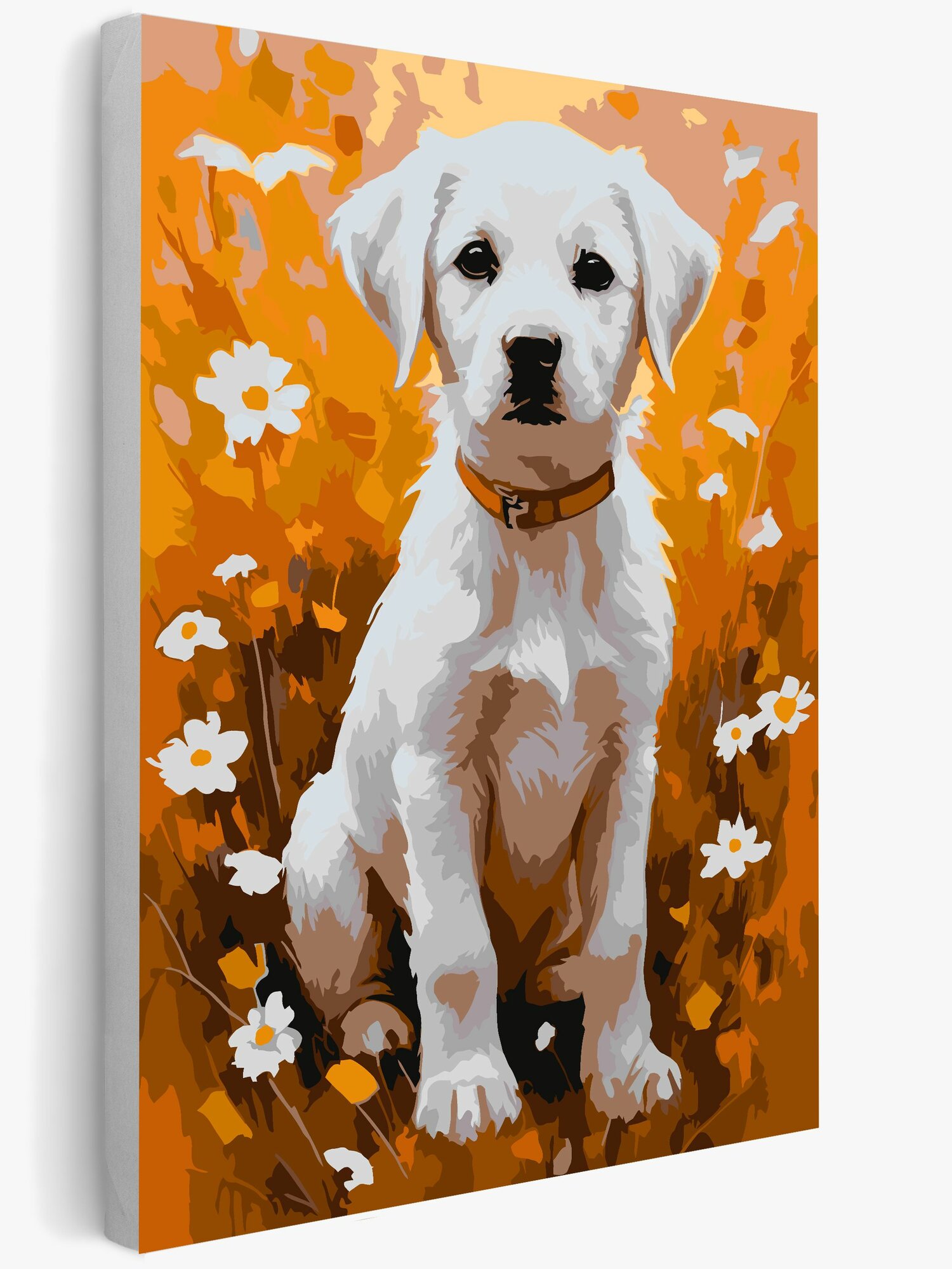 Картина по номерам лабрадор