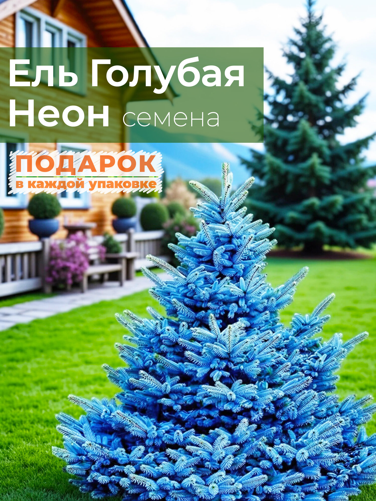 Ель Голубая Неон, Семена 50 шт, семена хвойных растений, семена деревьев