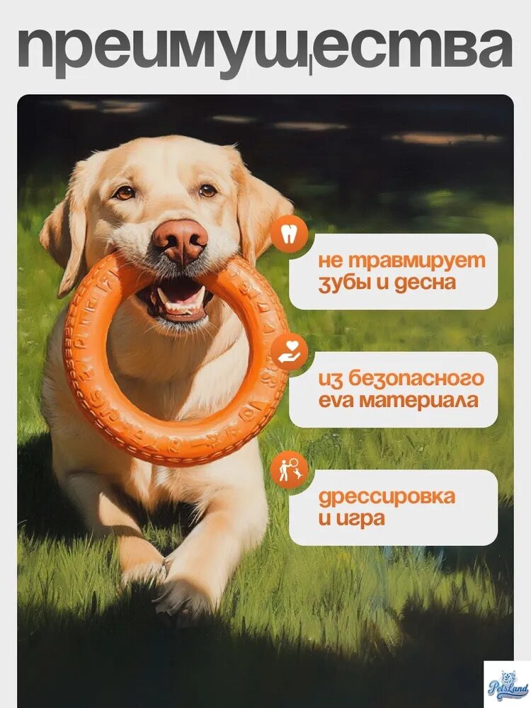 Кольцо-пуллер для собак, 29 см, игрушка для собак — фото 1