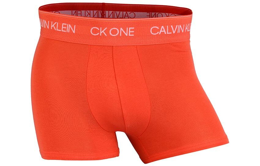 Боксеры-брифы нижнее белье мужские Calvin Klein 9311489, S EU