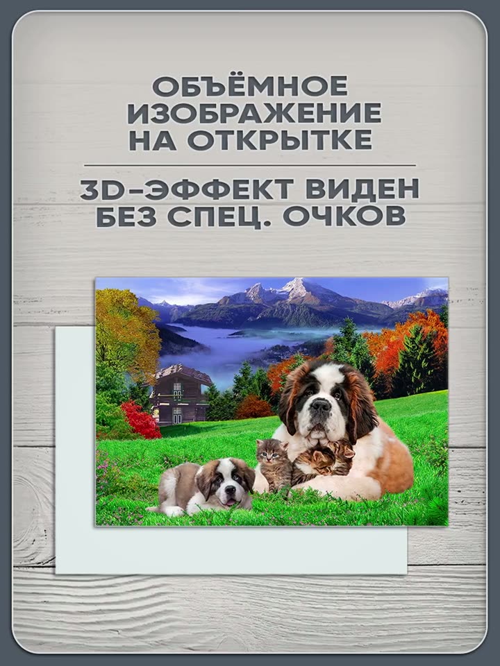 Стереооткрытка с 3D-эффектом "Сенбернары" — фото 1