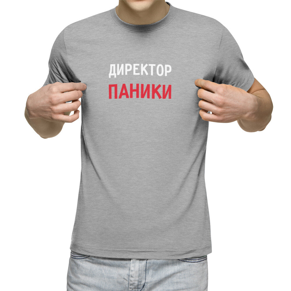 Мужская футболка «Директор паники надпись» (серый меланж, L)