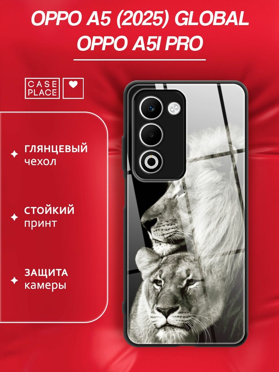 Чехол на Oppo A5 (2025) Global/A5i Pro / Оппо A5 (2025) Глобал/A5i Про с принтом "Львиная пара"