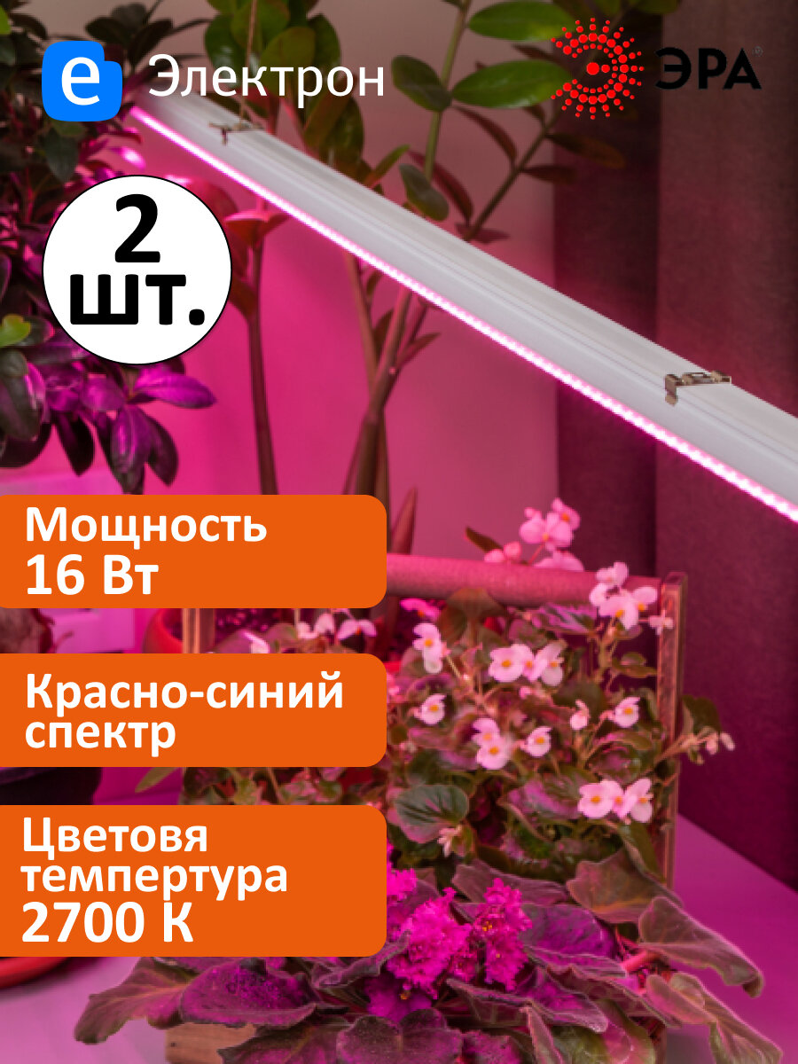Светильник для растений, фитолампа светодиодная линейная ЭРА FITO 16 Вт Т5 красно-синего спектра (комплект из 2 шт.)