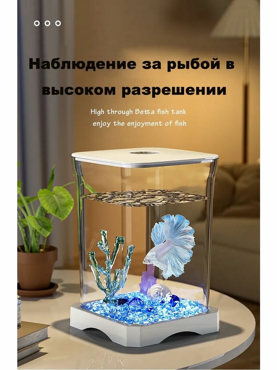 Аквариум — фото 1
