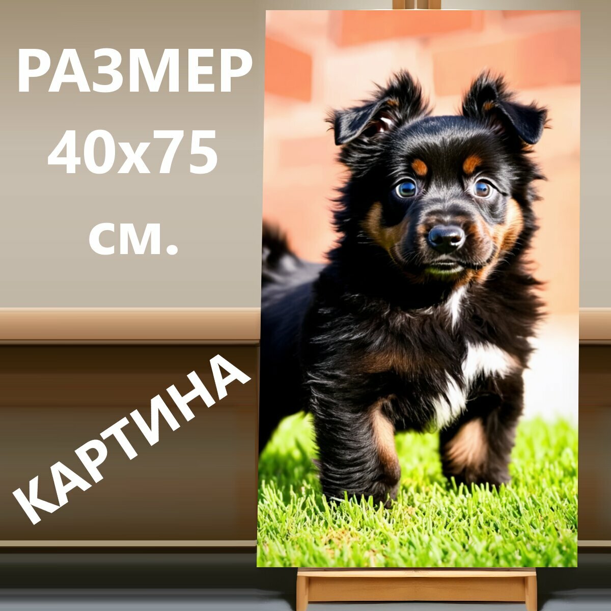 Картина на холсте "Черный шпиц puppy, маленький, пушистый, с большими глазами, уши стоят, на зеленой траве, размытый фон, кирпичная стена, солнечный свет" на подрамнике 75х40 см. для интерьера