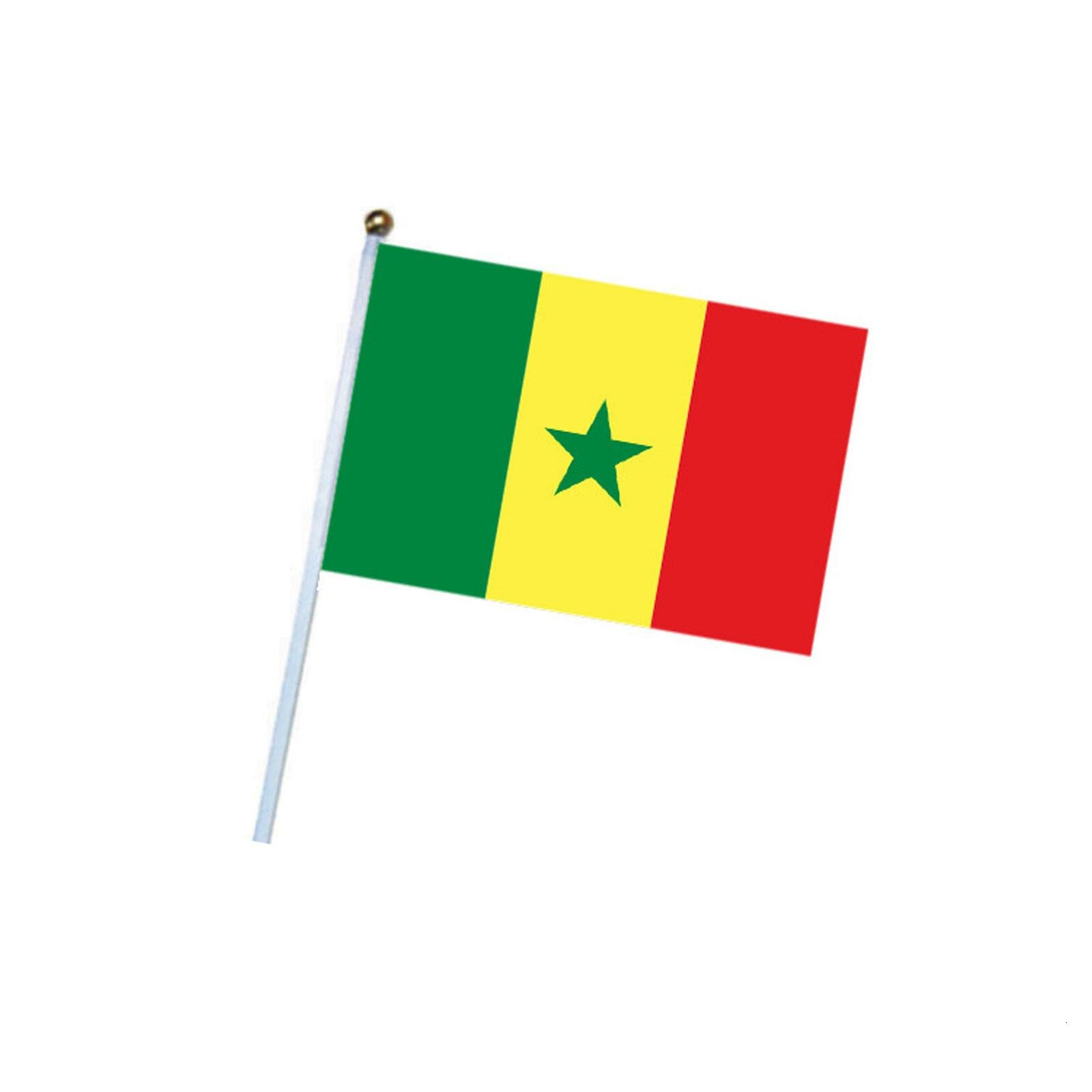 Флаг ручной работы 50peeces для фанатов футбола и футбола приветствует празднование свинга, - Сенегал 03