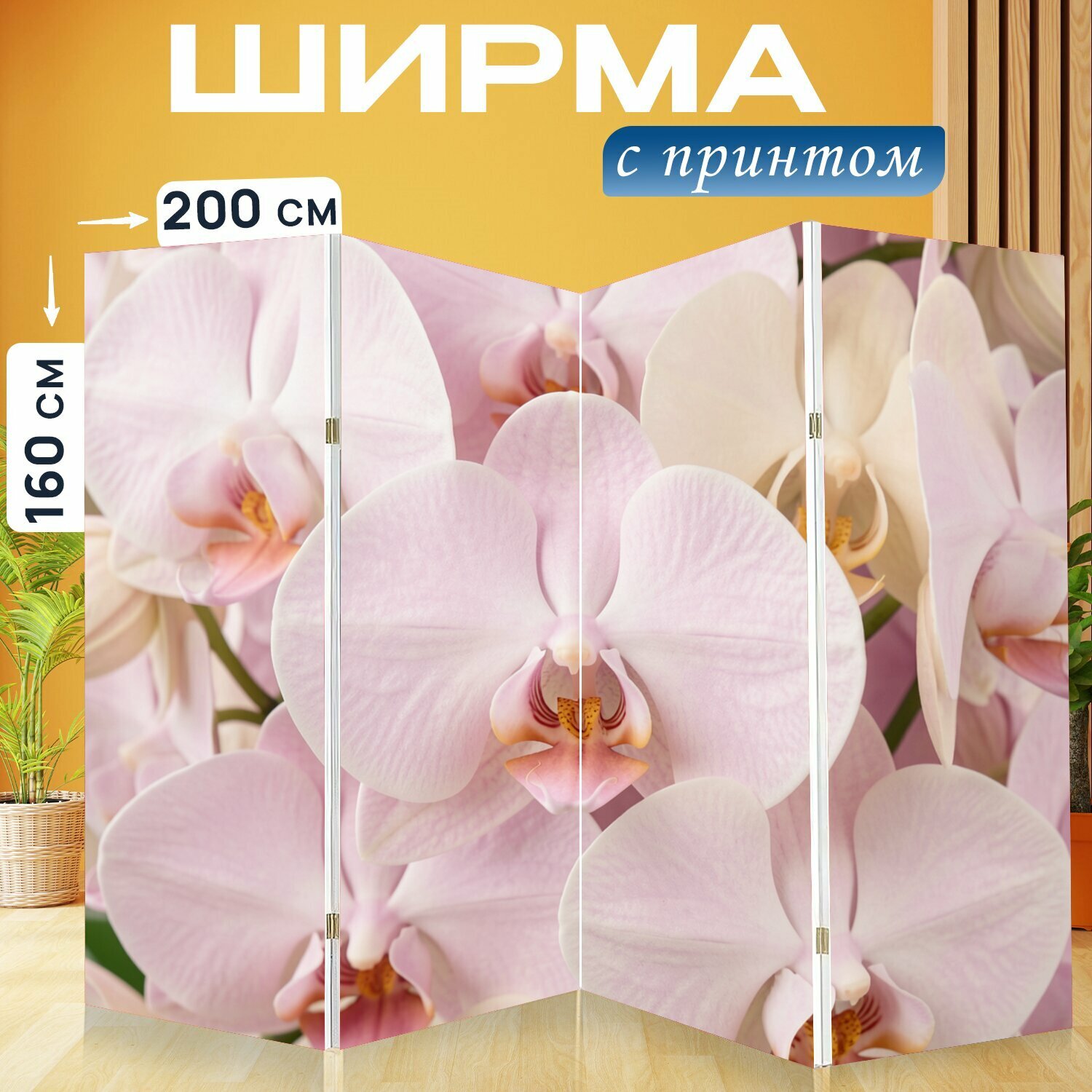 Ширма "Нежные орхидеи пастельных оттенков. Крупный план изящных цветов в мягкой пастельной гамме." перегородка для зонирования комнаты с принтом 200x160 см. на холсте