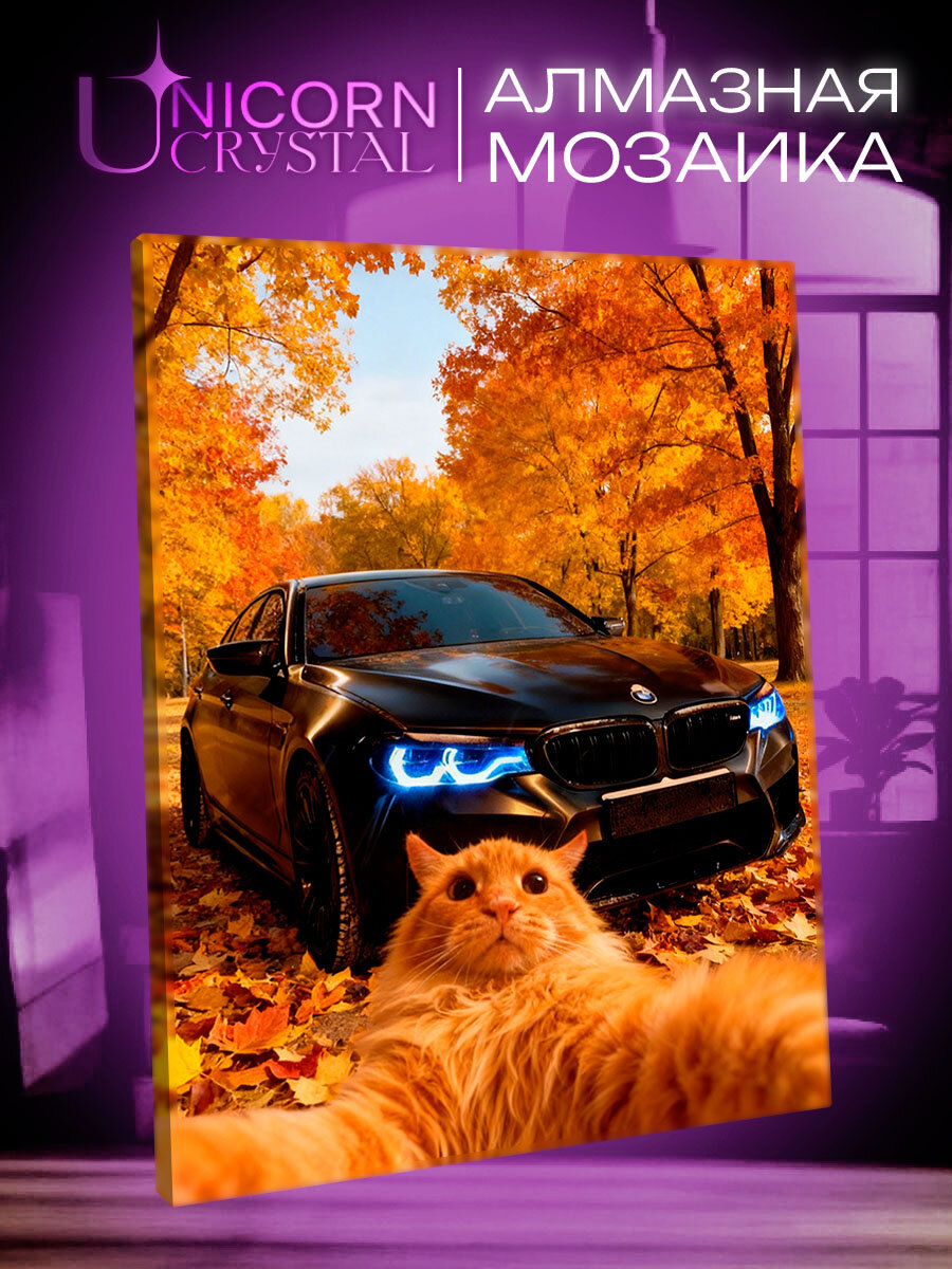 Алмазная мозаика Машина и Кот