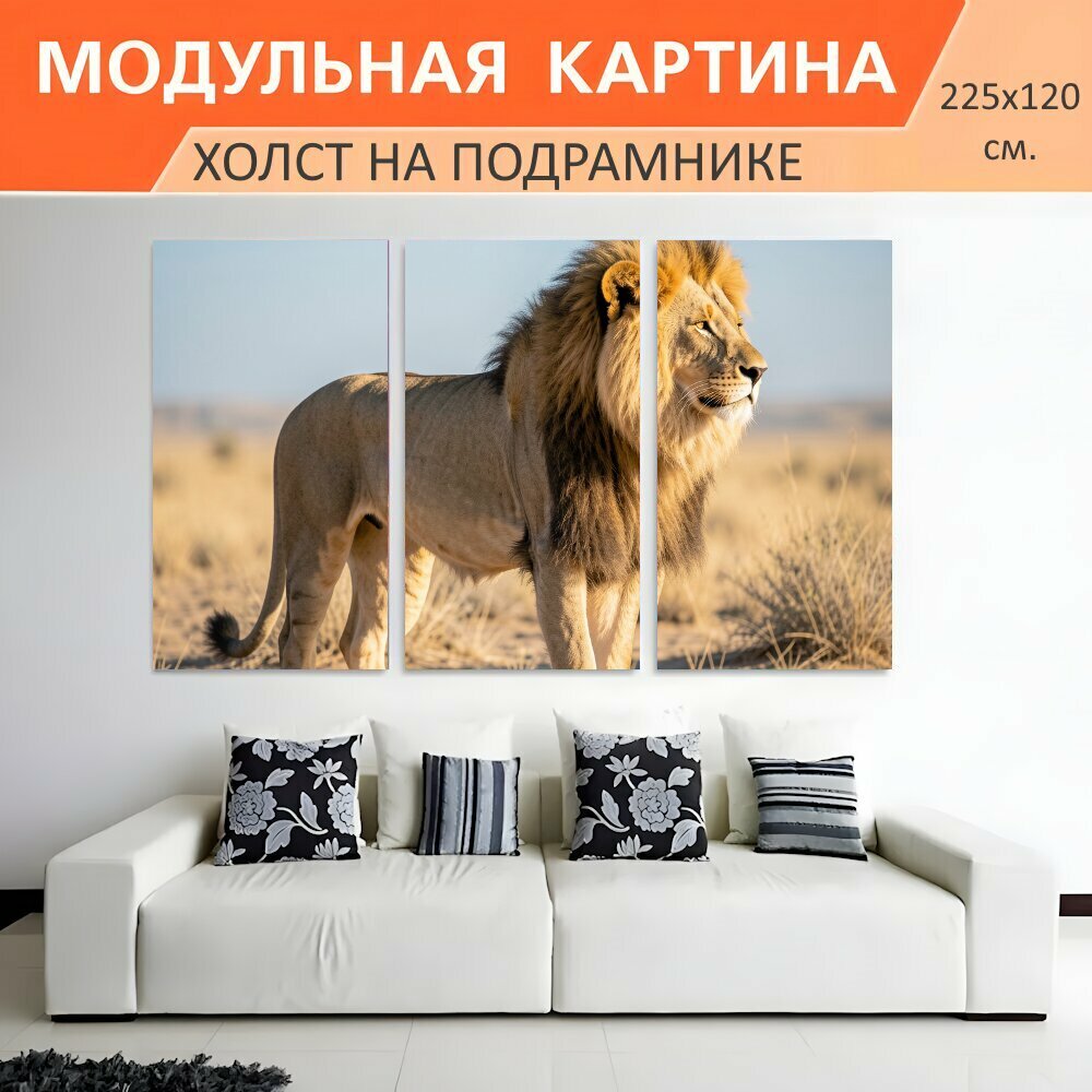 Модульная картина на холсте "Лев в саванне на солнце. Величественный хищник с густой гривой стоит на песчаной равнине среди сухой." триптих на подрамнике 225х120 см. для интерьера