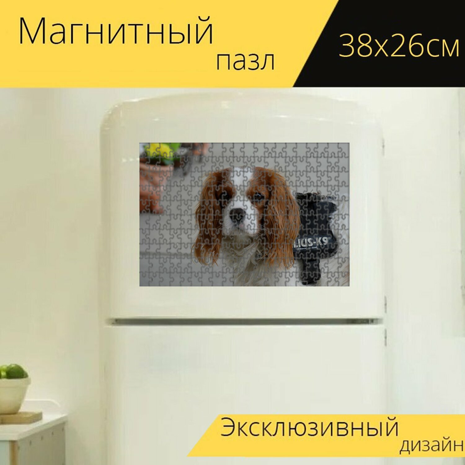 Магнитный пазл "Собака, кавалер кинг чарльз спаниель, веселая" для интерьера, 38х26 см.