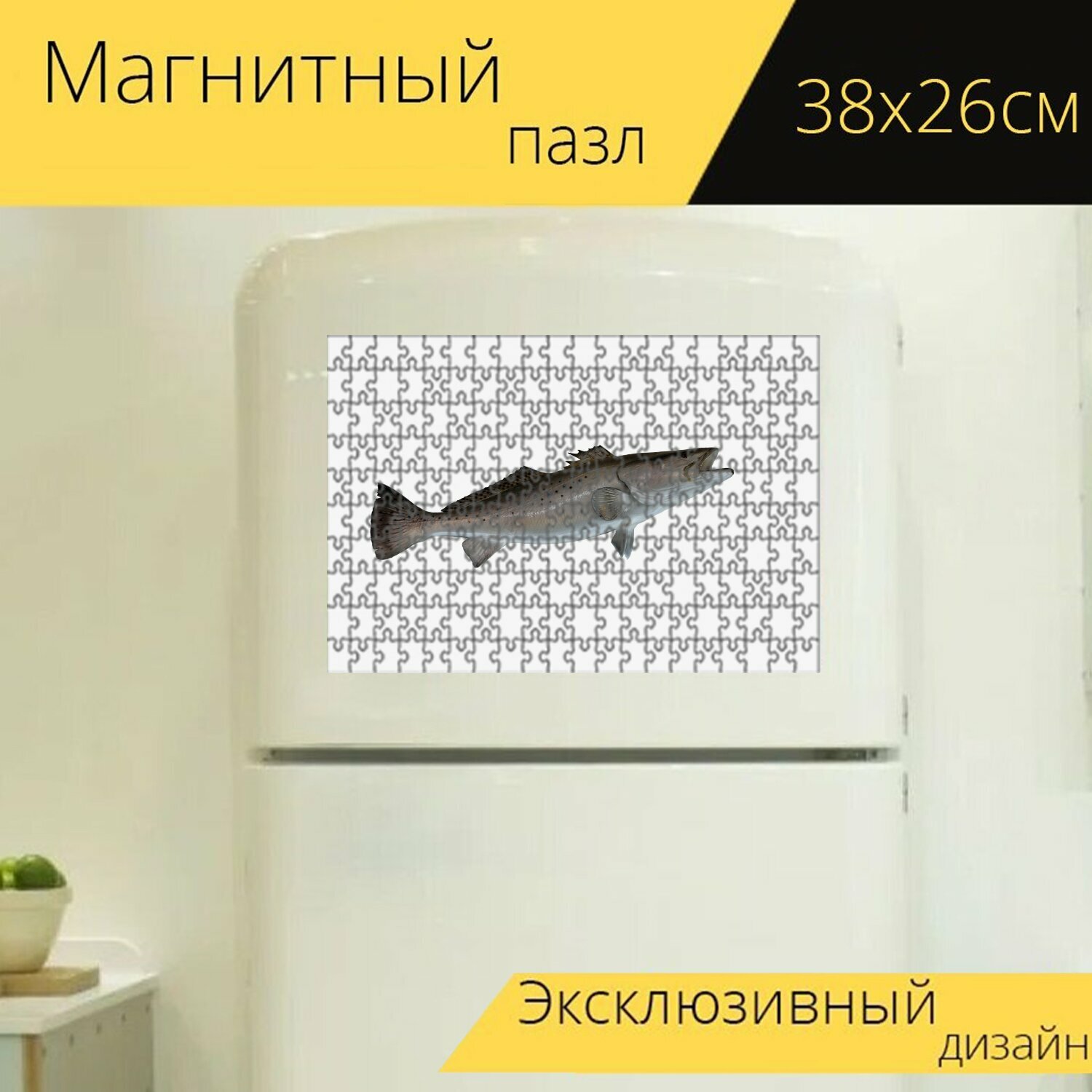 Магнитный пазл "Морской морской форели Установленный Морской форели соленой морской форели рыба дикая природа сборе таксидермия Sealife водные морская жизнь игра рыбы" для интерьера, 38х26 см.