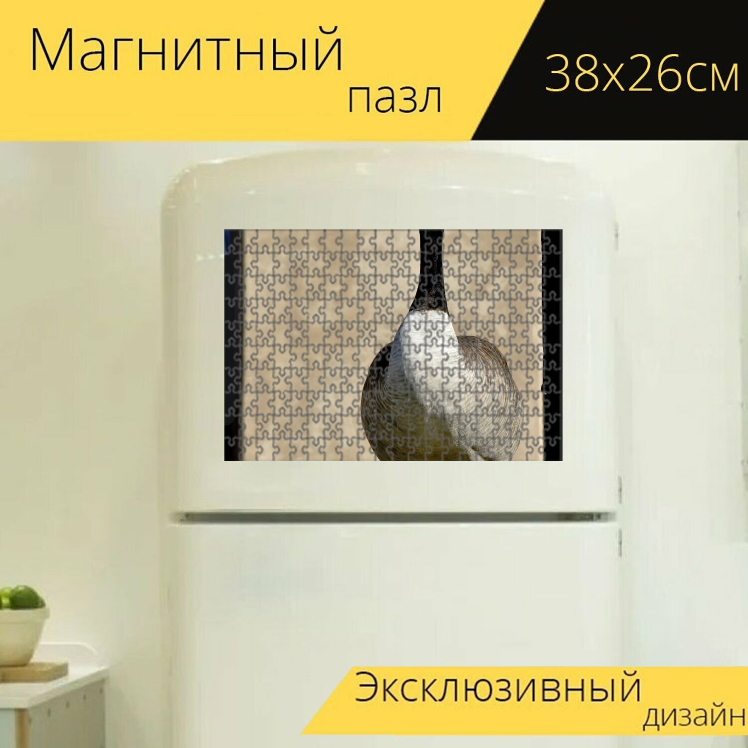 Магнитный пазл "Canada Goose Canada Goose на лужайке гусь Канада стоя трава ожидая что создает" для интерьера, 38х26 см.