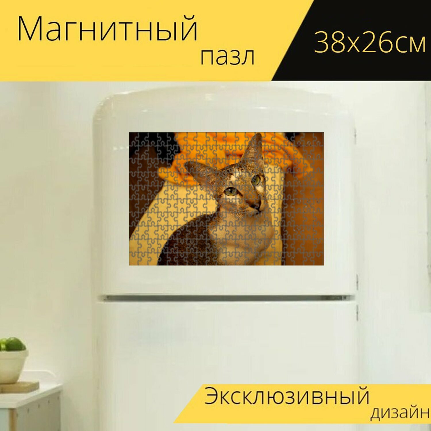 Магнитный пазл "Ориентальная короткошерстная кошка, кот, похмелье" для интерьера, 38х26 см.