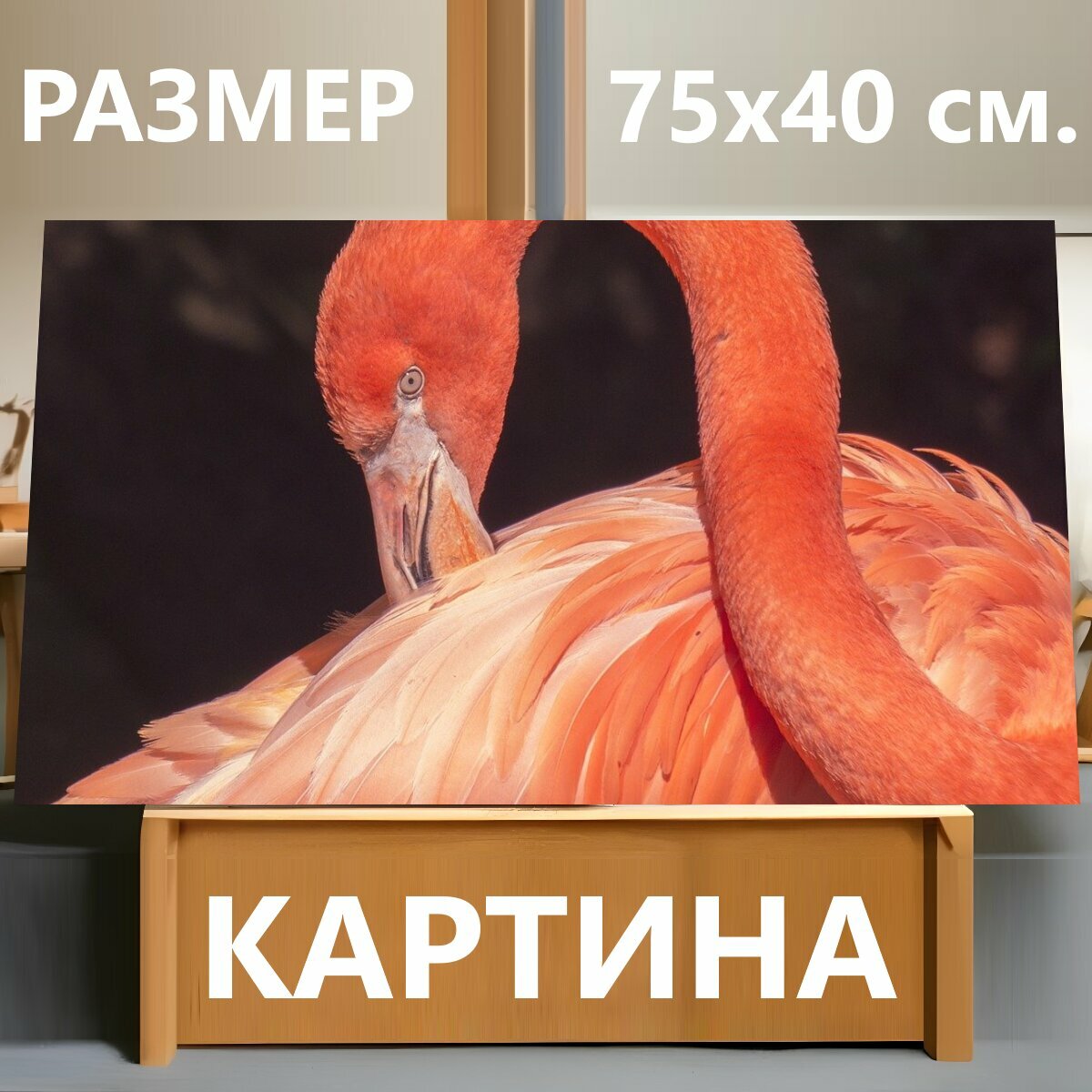 Картина на холсте "Фламинго, водоплавающая птица, птица" на подрамнике 75х40 см. для интерьера