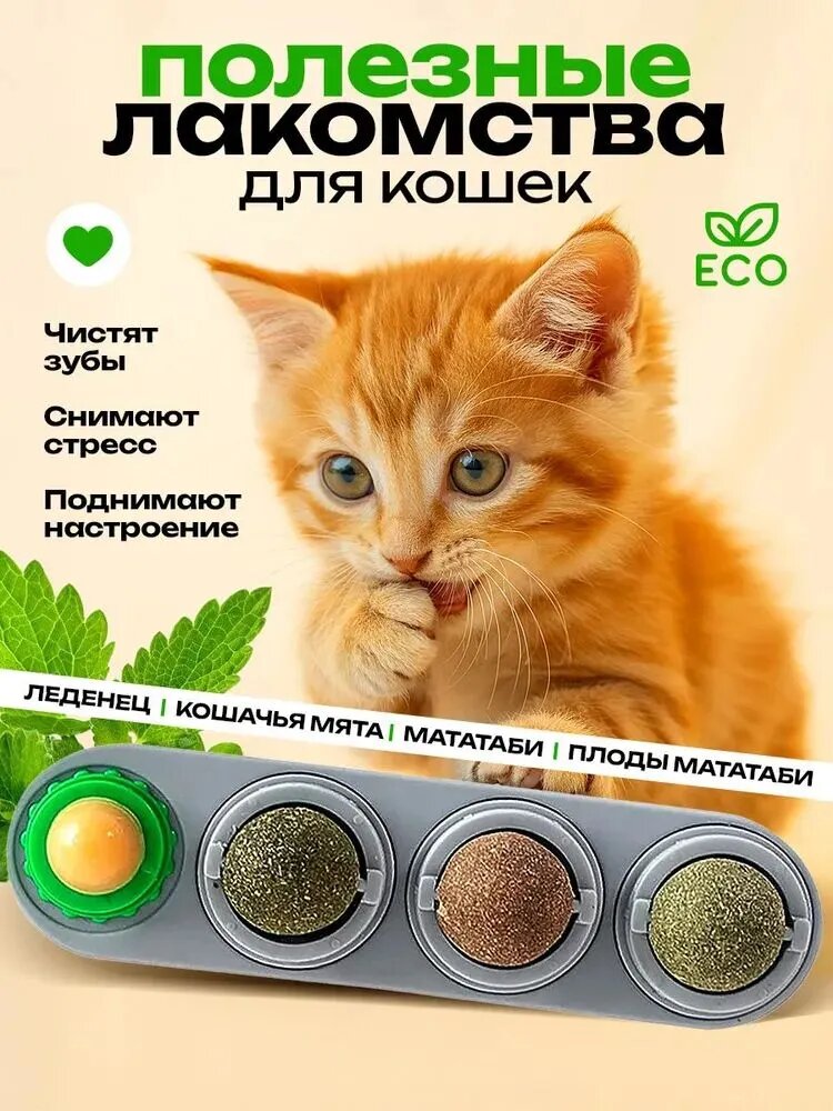 Игрушки для кошек, кошачья мята, леденец для кошек, шарик на стену