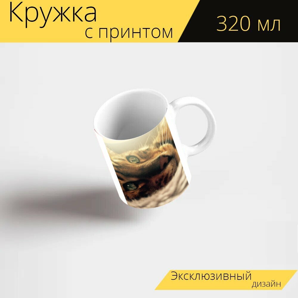 Кружка с рисунком, принтом "Кот, бенгальский, глаз кошки" 320 мл.