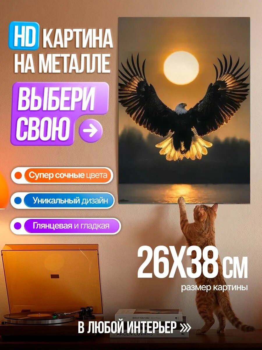 Картина на HD металле Орел на закате