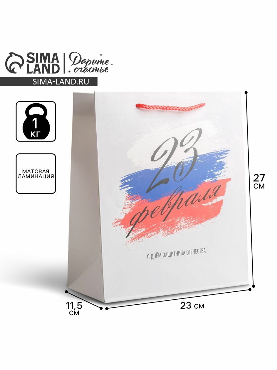 Пакет подарочный ламинированный, упаковка, "С 23 февраля", ML 23x27x11.5 см, 2 шт.