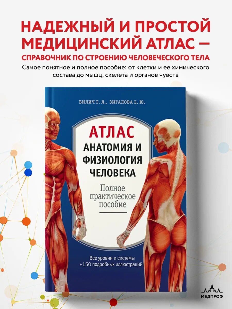 Атлас. Анатомия и физиология человека полное практическое
