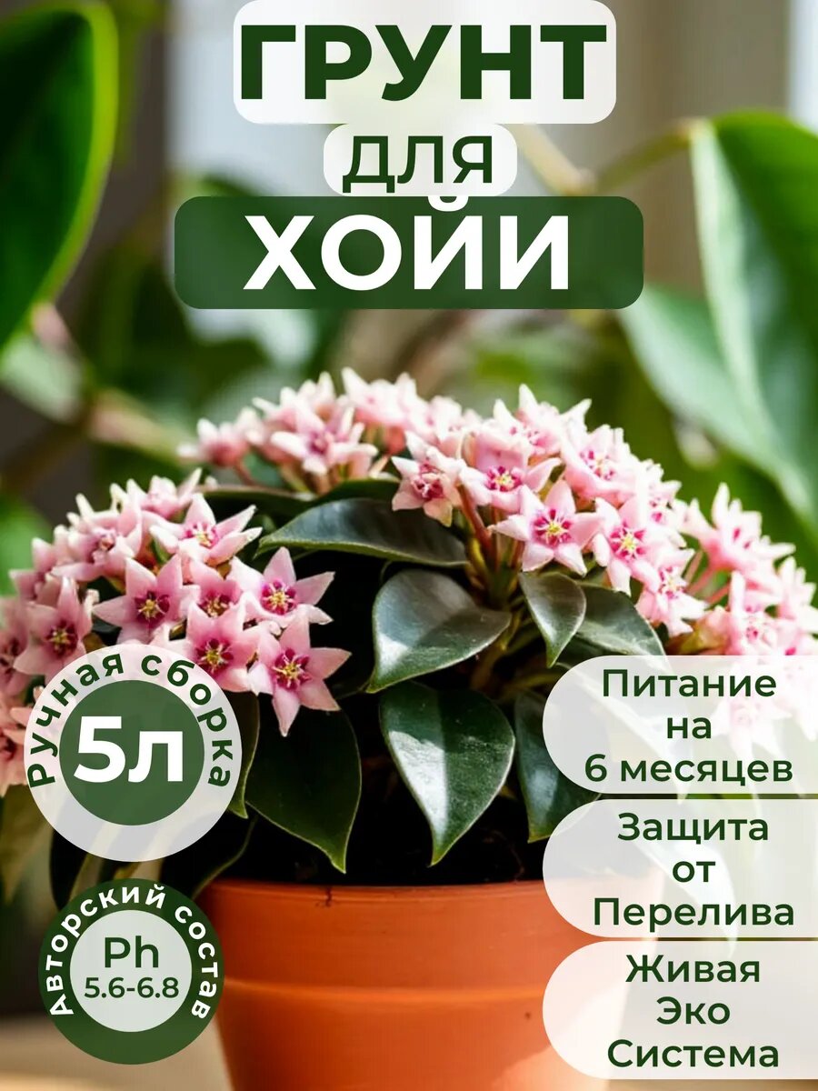 Готовый авторский грунт для Хойи, премиум 5 литров