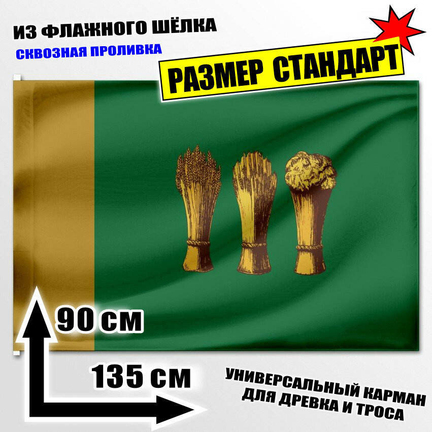 Флаг Пензы 135x90 см.